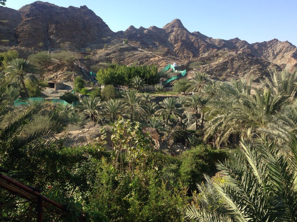 The Ultimate UAE Road Trip Guide: Fujairah & Masafi - At World's Origins