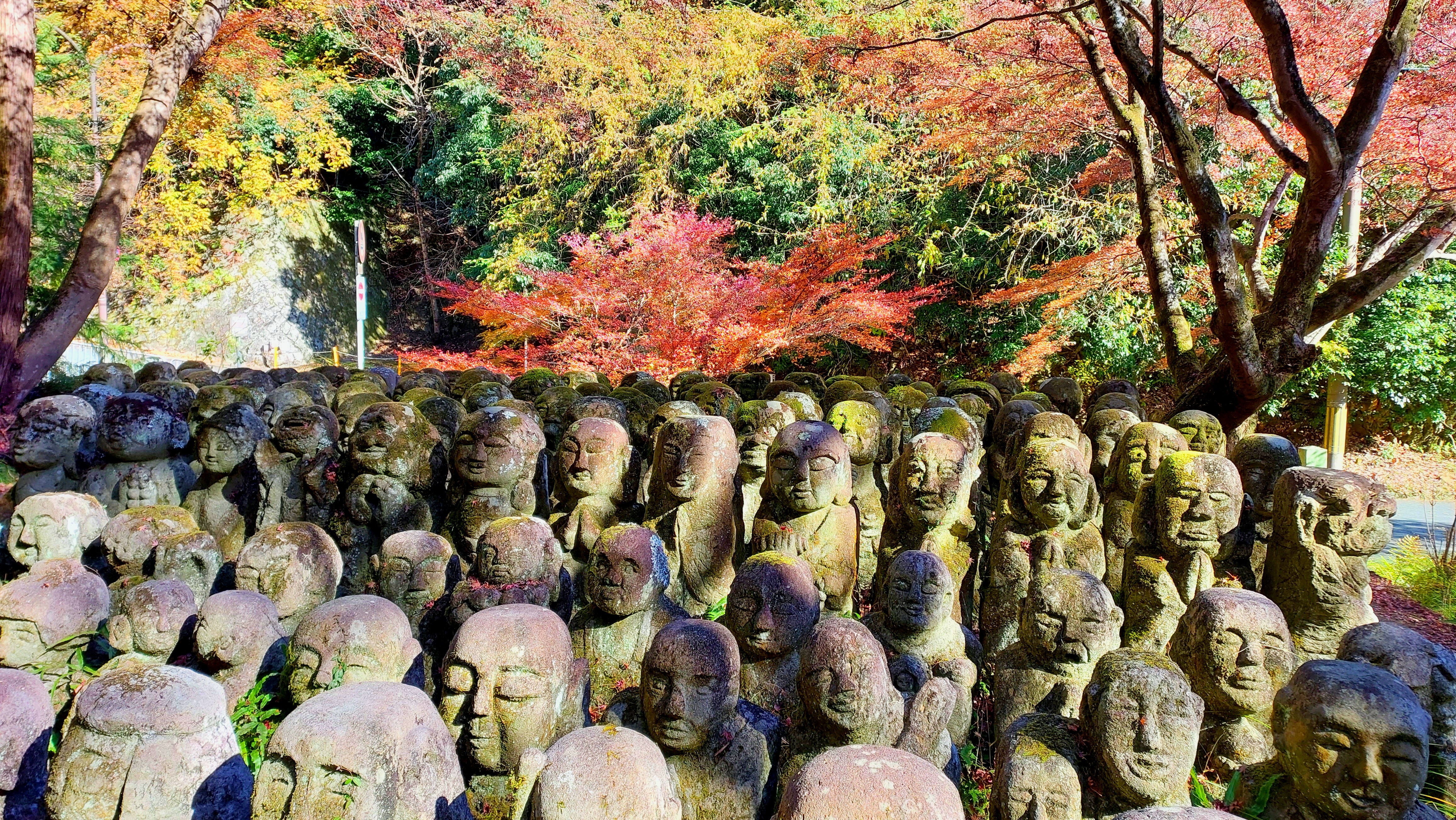 Discover Otagi Nenbutsuji: Kyoto's Secret Temple of 1200 Whimsical ...