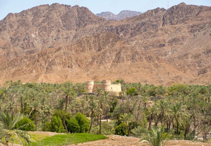 Al Bithnah Fort & Nature Hiking Trail: A UAE Heritage Spot Surrounded ...