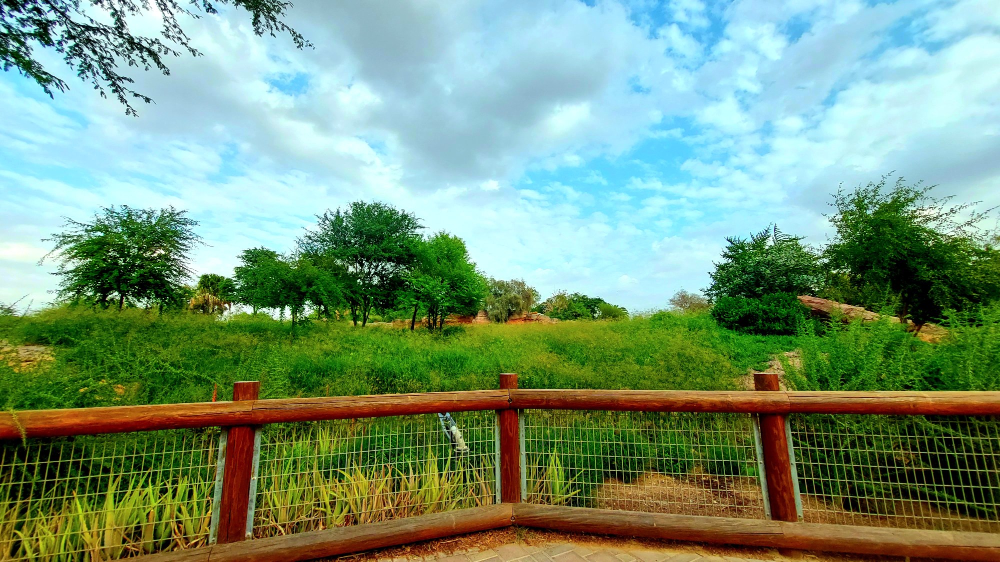 See Rare Animals In Al Ain Zoo – The Biggest Zoo In UAE and The Middle ...