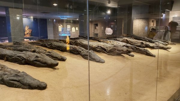 5 Places To See Real Mummies in Egypt - At World's Origins