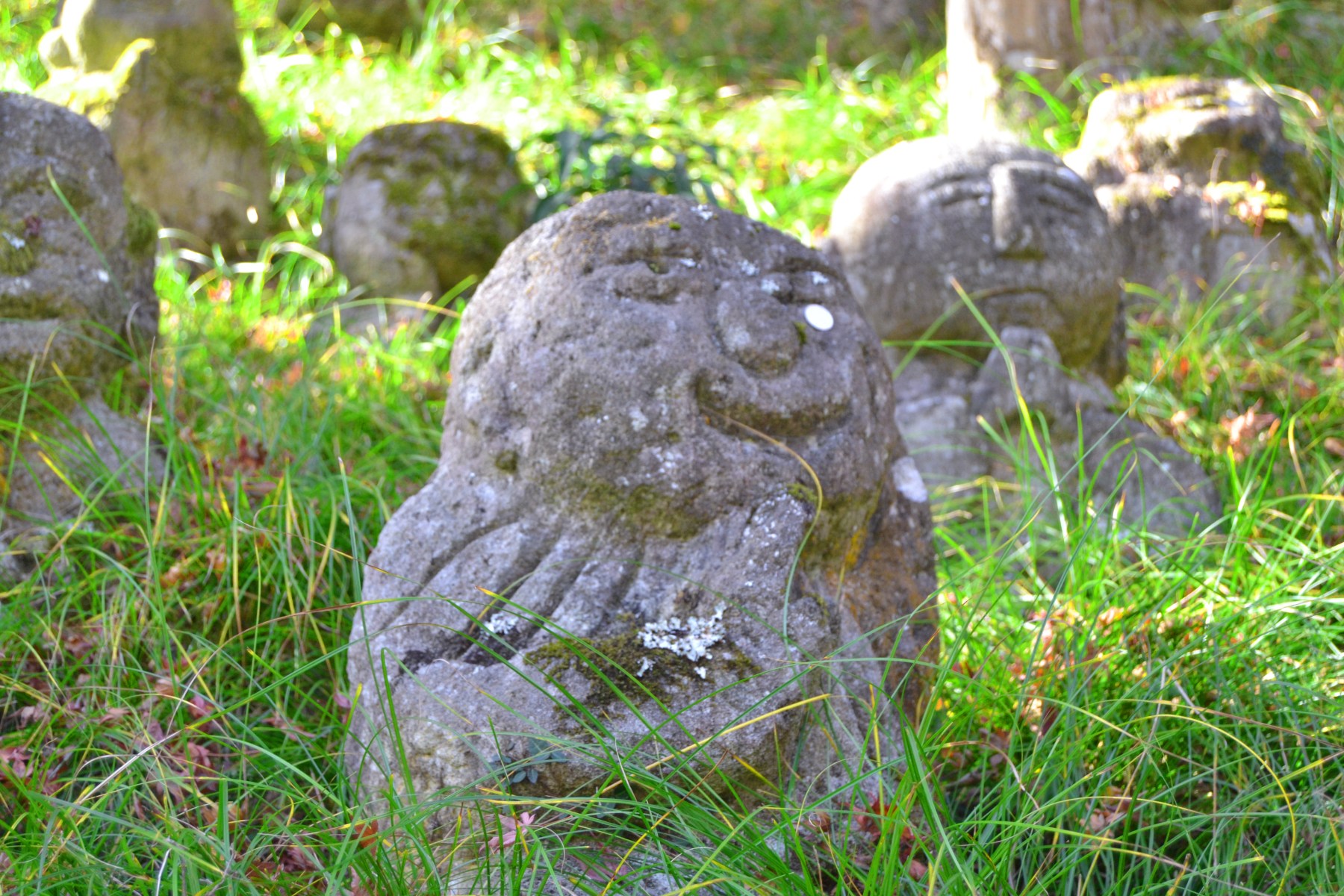 Discover Otagi Nenbutsuji: Kyoto's Secret Temple of 1200 Whimsical ...