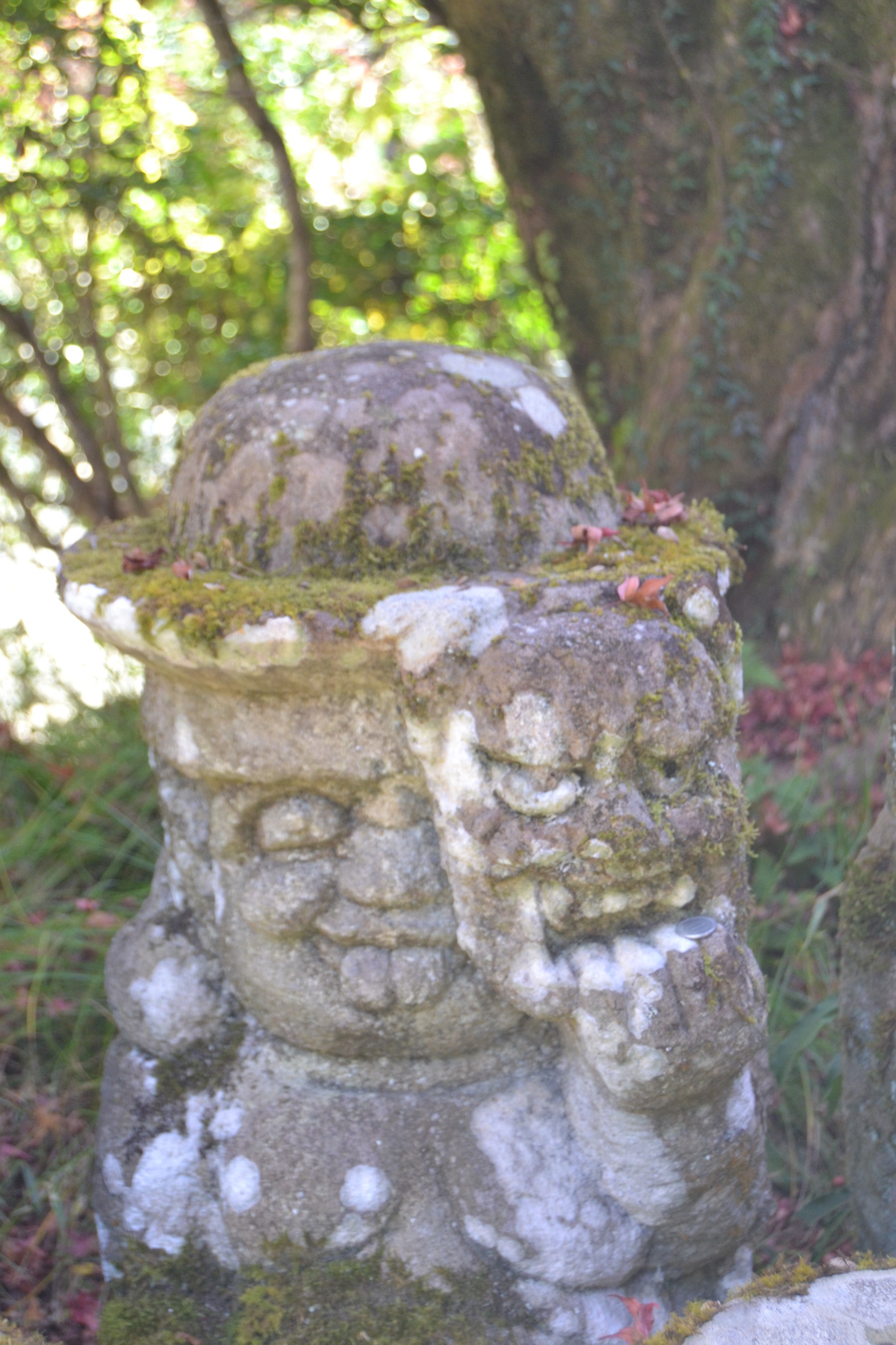 Discover Otagi Nenbutsuji: Kyoto's Secret Temple of 1200 Whimsical ...