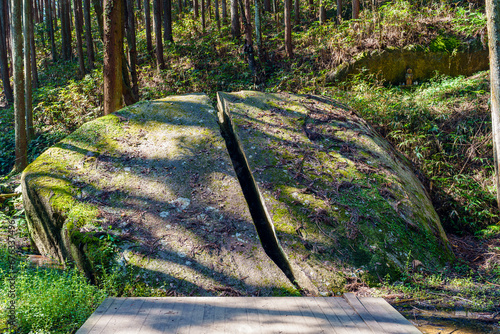 Demon Slayer Locations in Real Life: From Beautiful Lavender Fields to ...