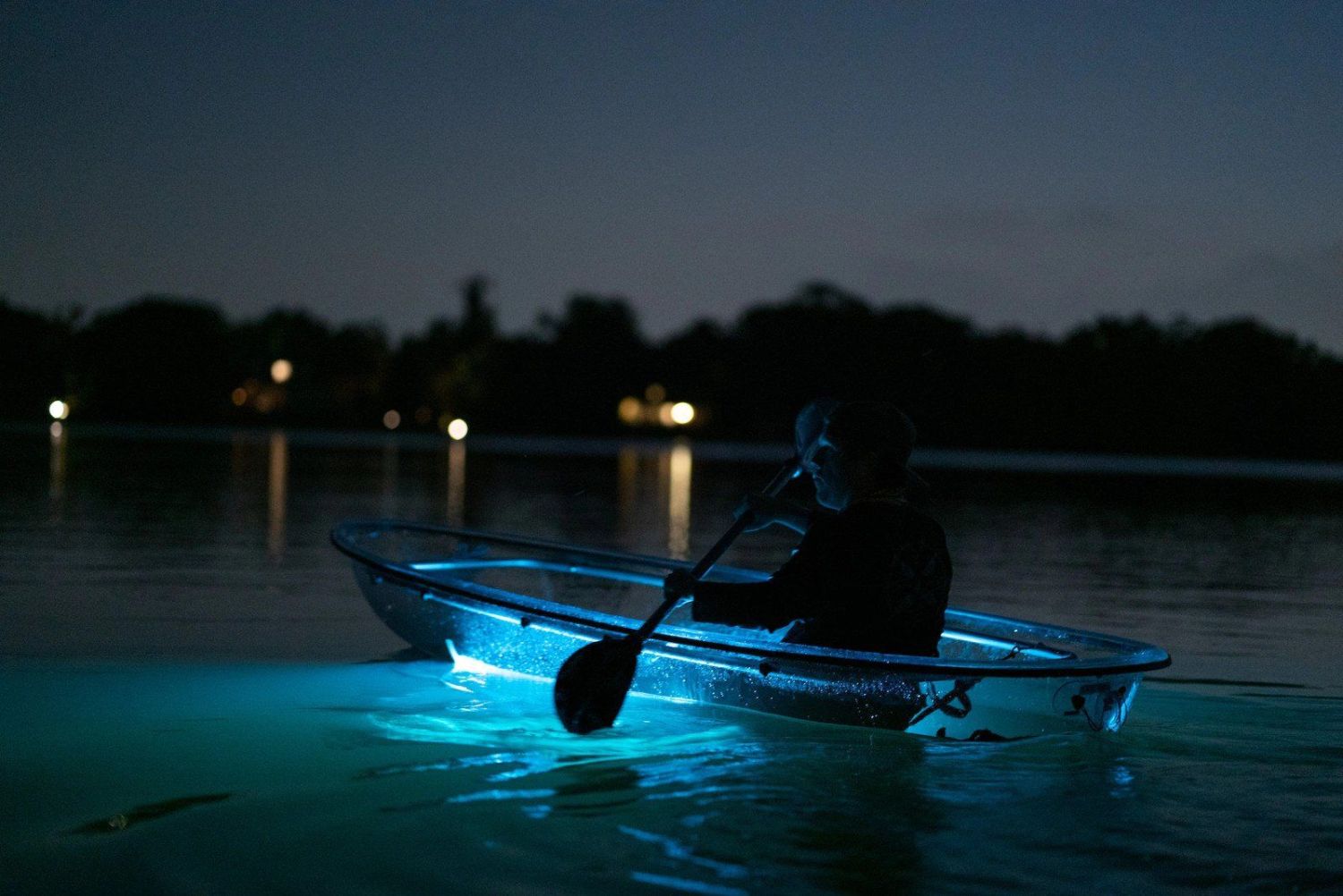 Puerto Rico Bioluminescent Beaches: The Incredible Glowing Waters of ...